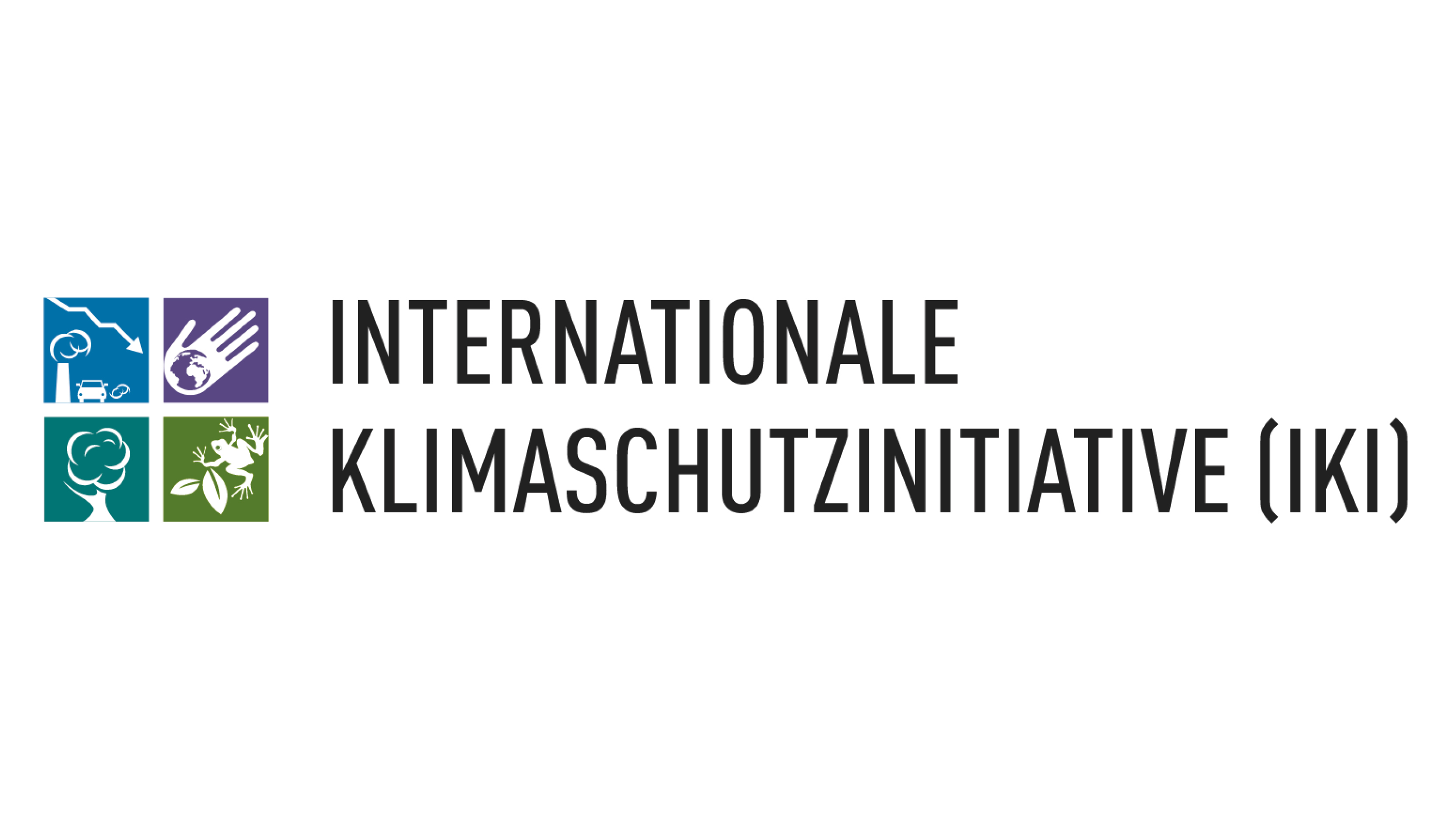 Partner - Internationale Klimaschutzinitiative (IKI)